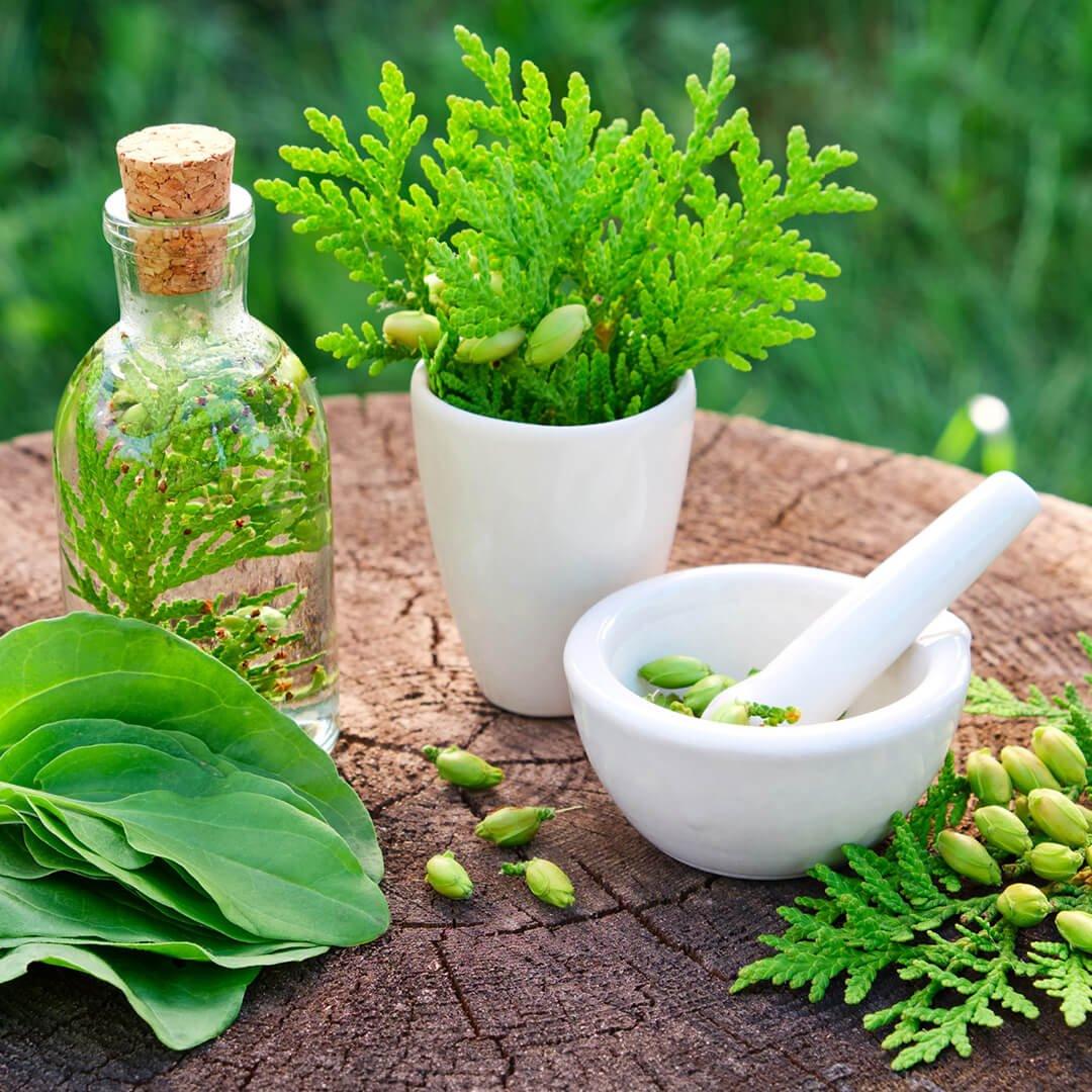Herbal Formulas & Detox – Inner Health Clinic